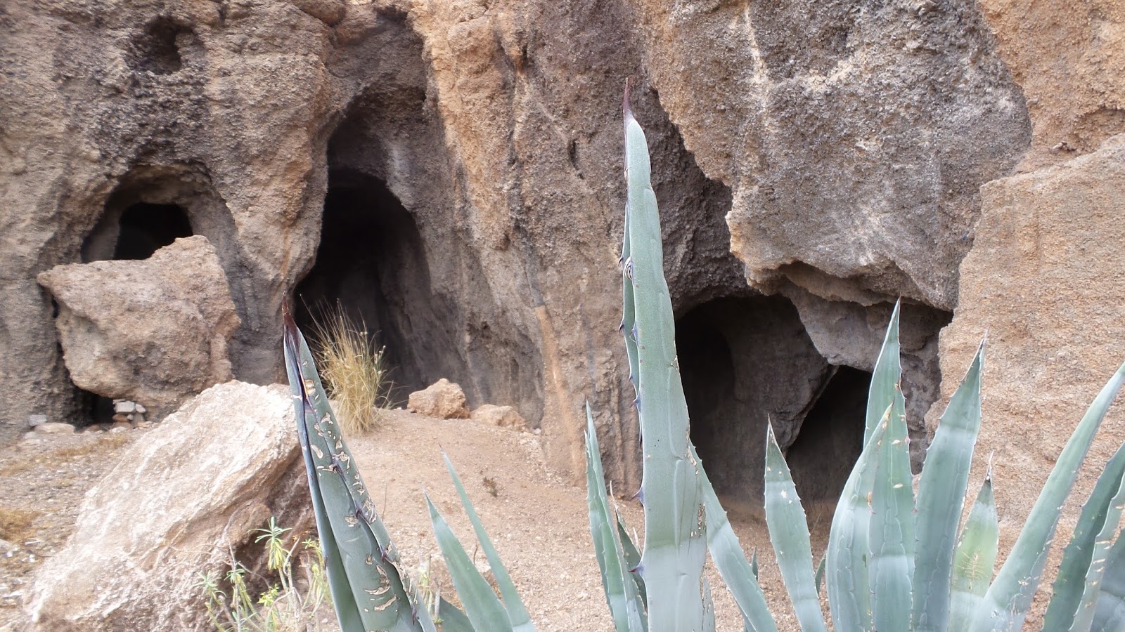 Auf der Sonneninsel Gran Canaria befinden sich zahlreiche Höhlen- und ...