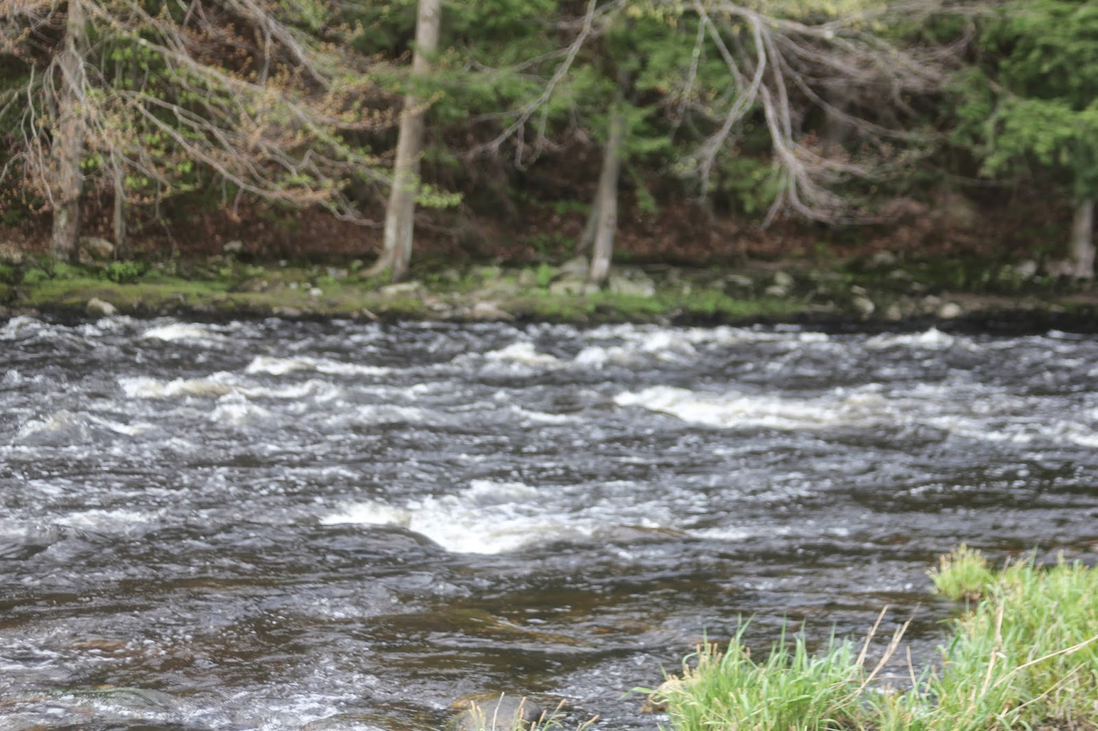 Every Day Is An Adventure: Mahican - Mohawk Hike Trail - Erving ...