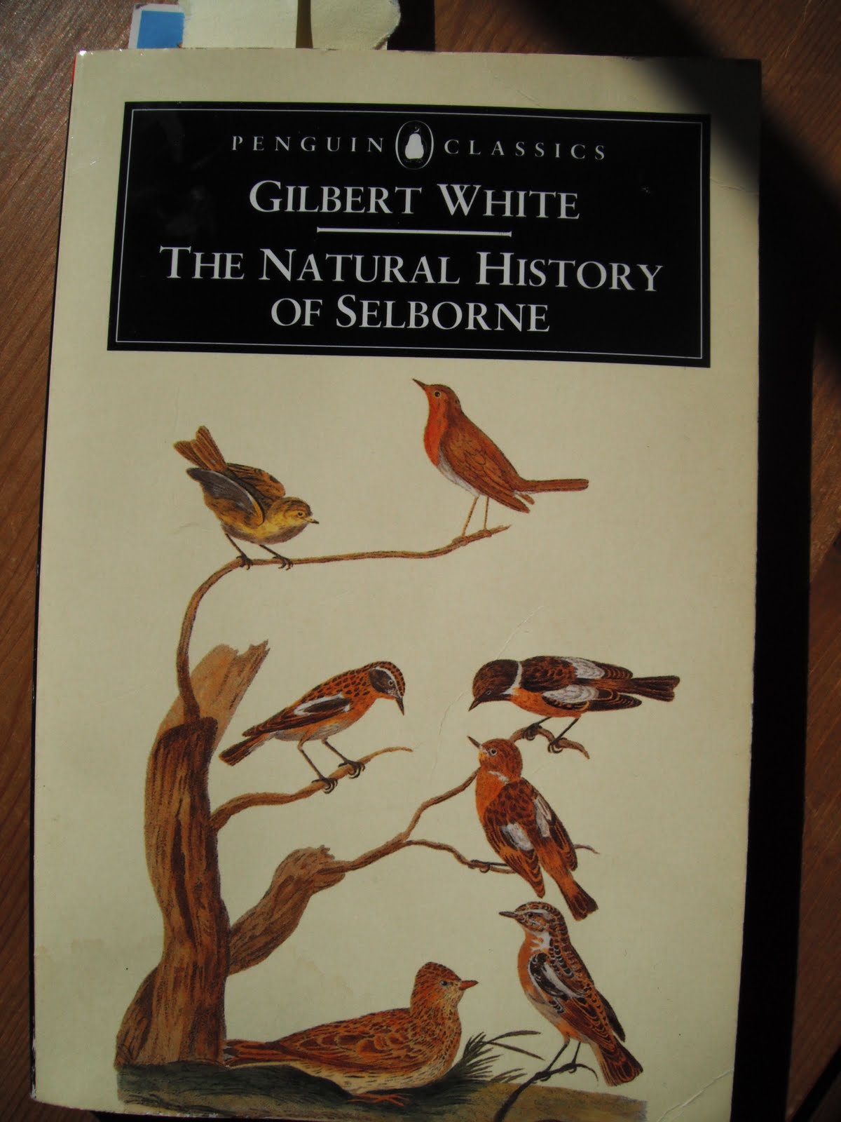 Seagreen Reader: The Natural History of Selborne by Gilbert White