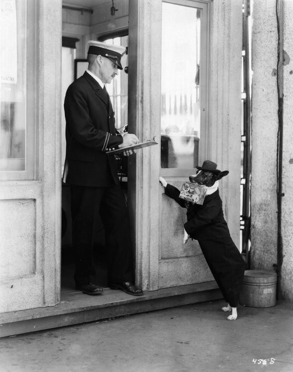 12 Interesting Vintage Photos of Man's Best Friend ~ Vintage Everyday