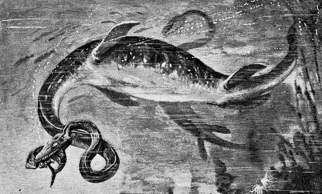 Please enable JavaScript