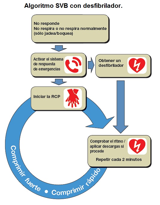 FORMACION EN EMERGENCIAS (TEBMOR): MANUAL DE SOPORTE VITAL BASICO ...