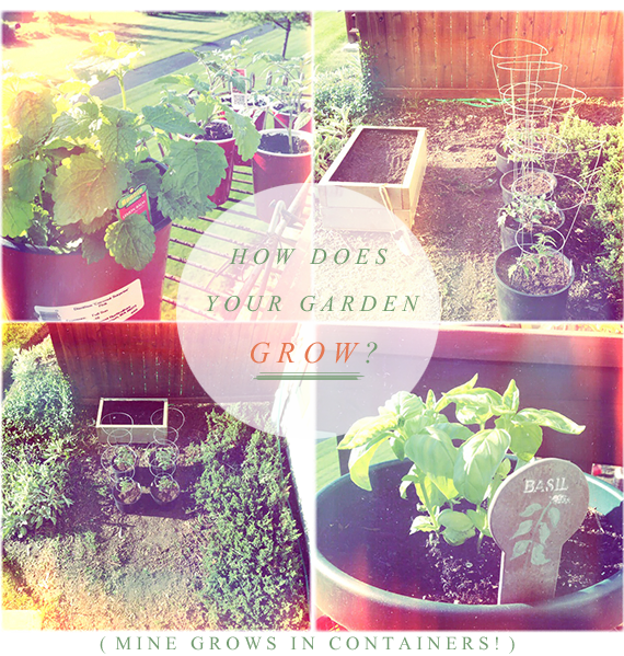 Bubby and Bean ::: Living Creatively: How Does Your (Container) Garden ...