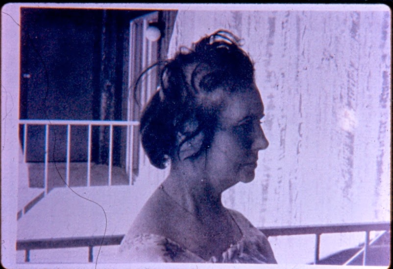 Blue Blurry Lines: The Original Cash-Landrum Case File, 3/4/81 ...