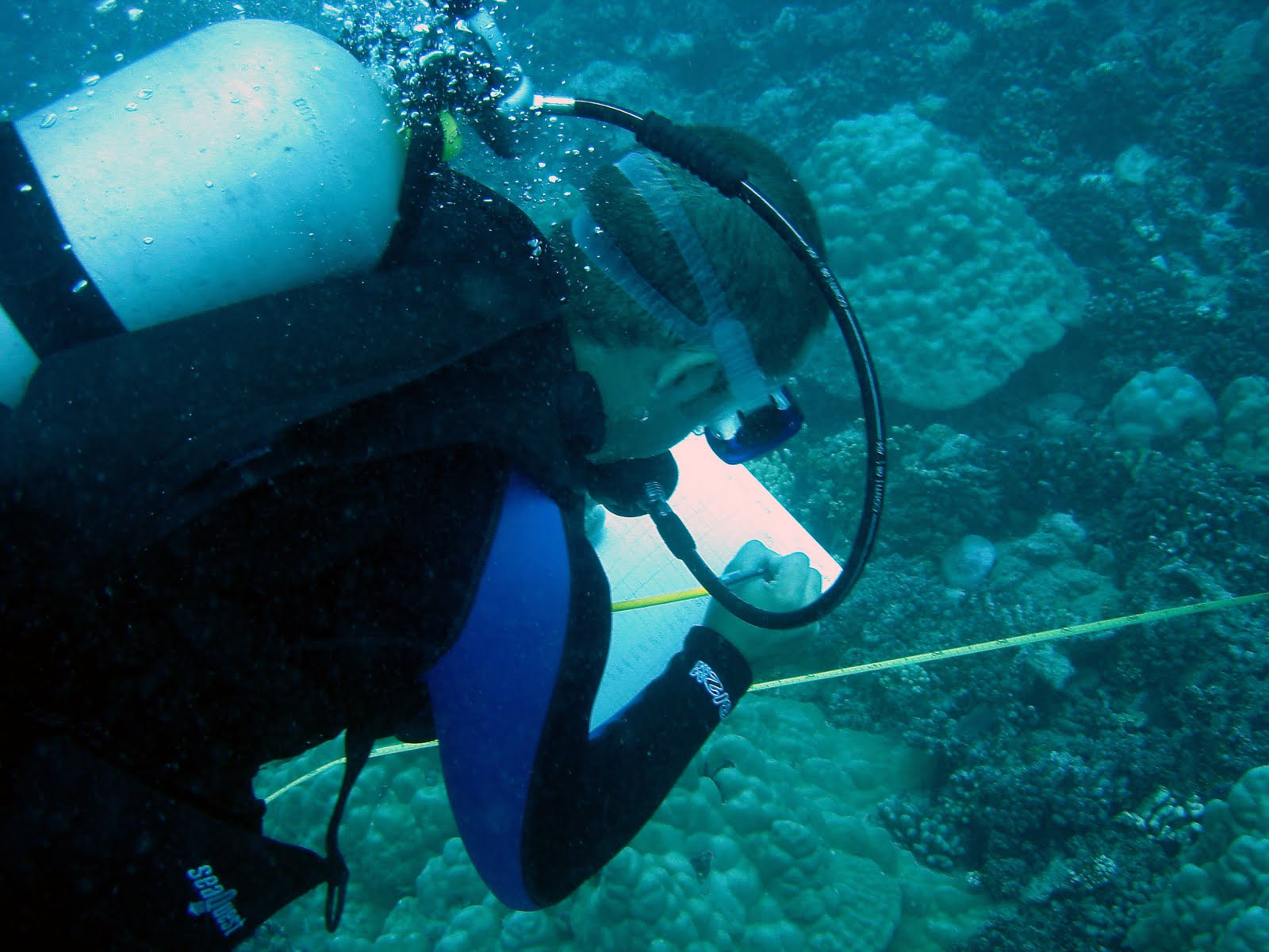 Marine Biology on Three Seas: Three Seas Marine Biology Program ...