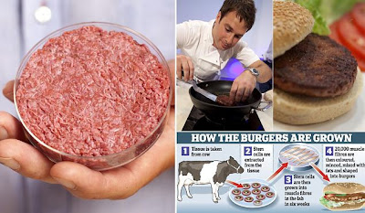 World's First Test-Tube Burger!!!! ~ Welcome to the world of facts.
