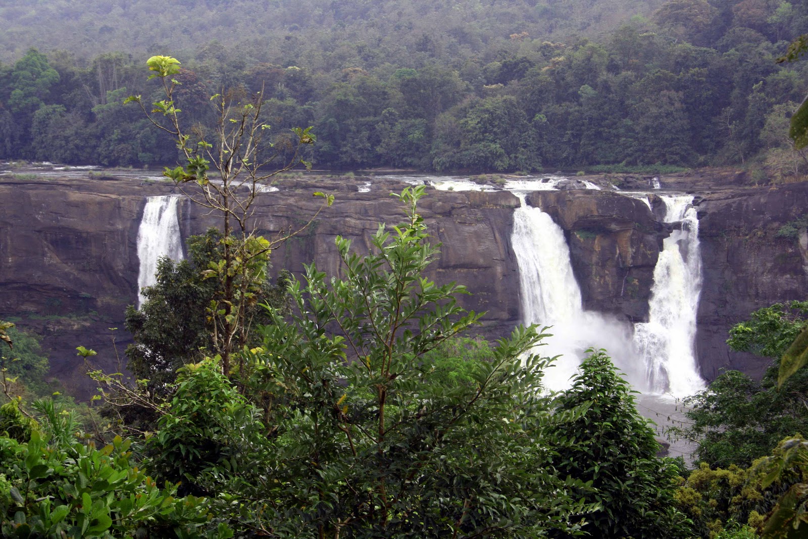 Get Lost In Nature.......Much Beyond Kerala!: Athirapally.....A Kerala ...