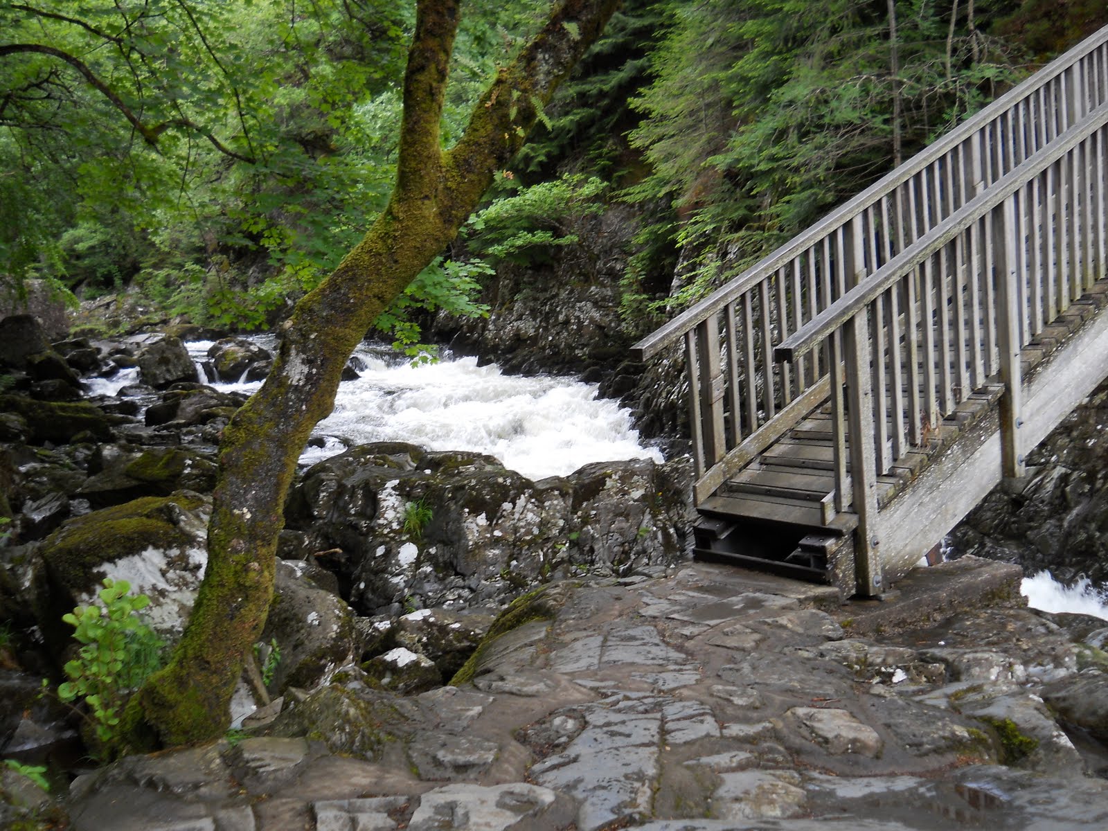 Alf on the Cistercian Way