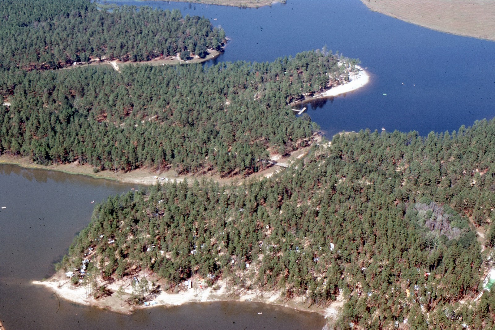 Tammany Family: A Brief History of Money Hill