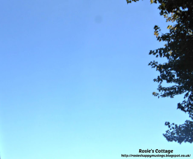 Rosie's Cottage: A Moment Of Perfect Peace...