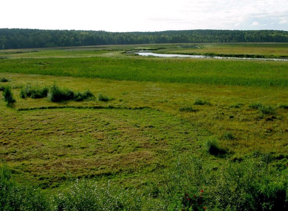 Imparare con la Geografia: 14 La regione continentale temperata