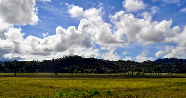 Marihatag Tree Park and Resort in Surigao del Sur