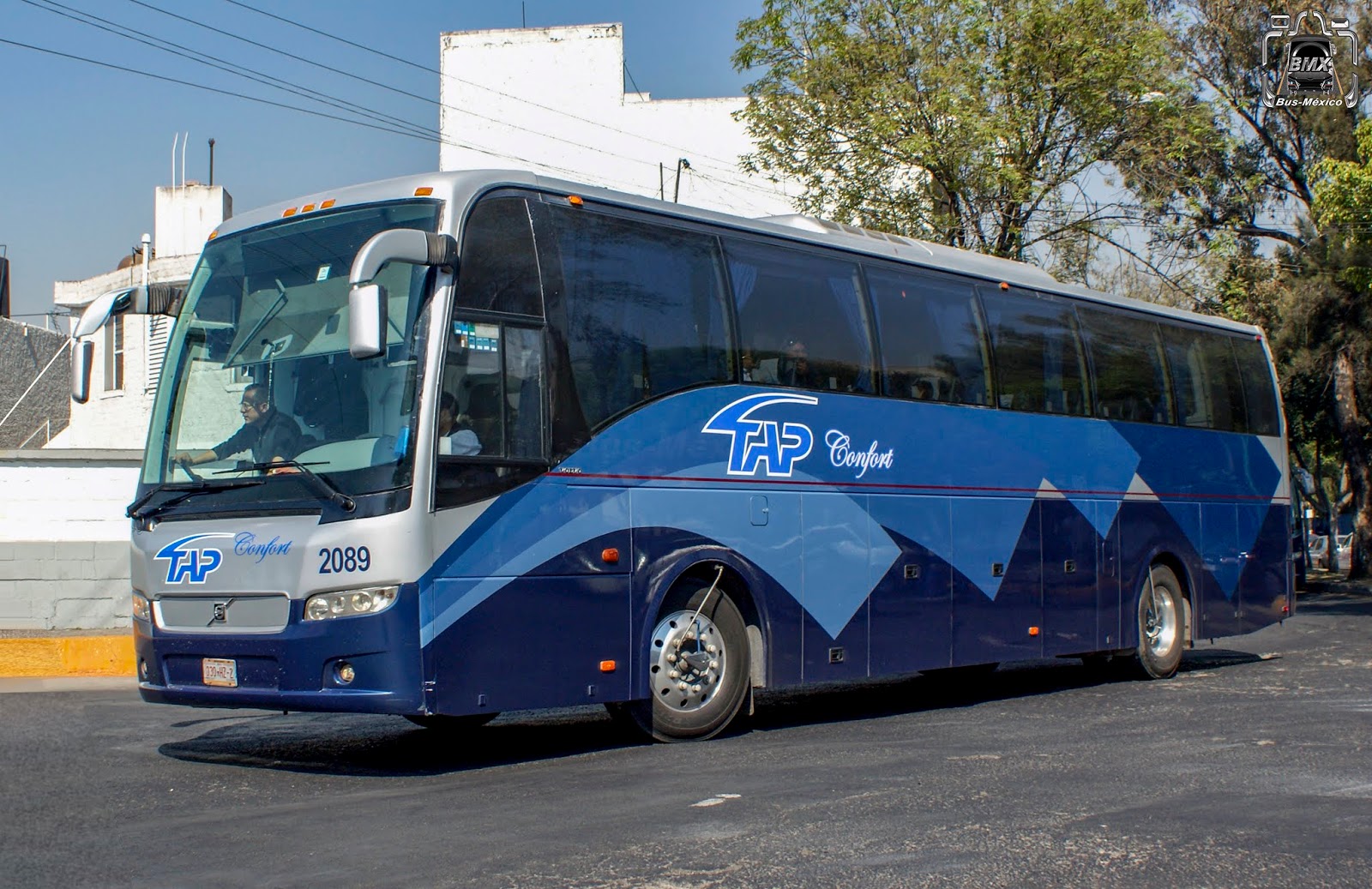 Transportes y Autobuses del Pacífico: TAP Confort - Bus-México
