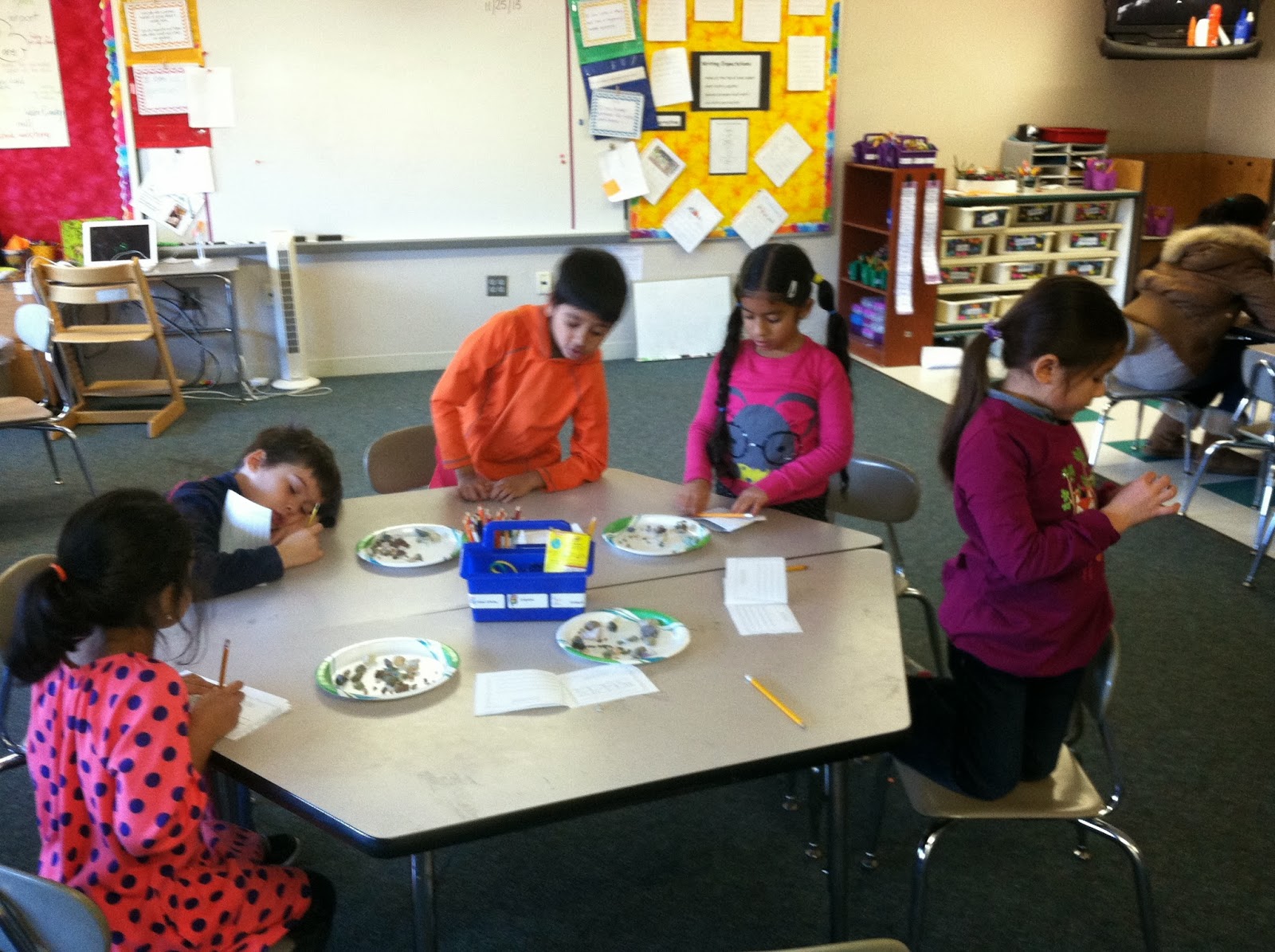A Look Into Our Looping Classroom: Rock Observation Stations