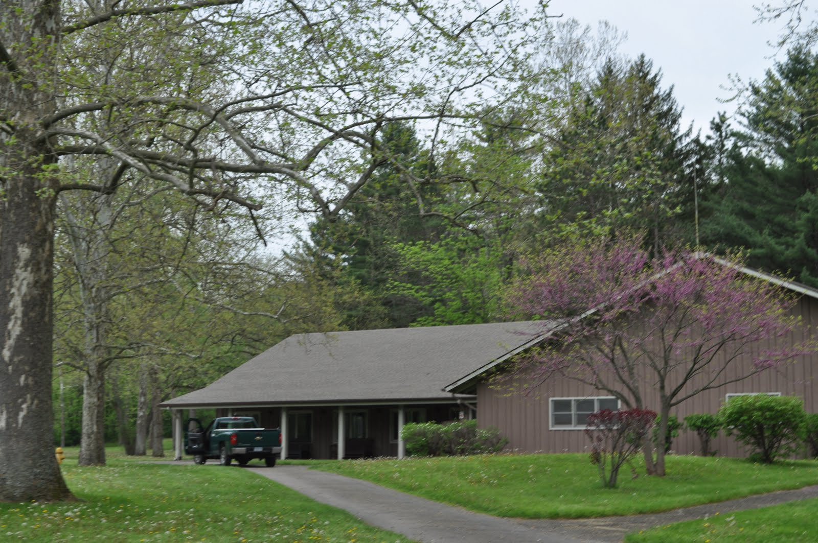 Penny Pinching Bride: Choice 3: Hidden Valley 4H Camp