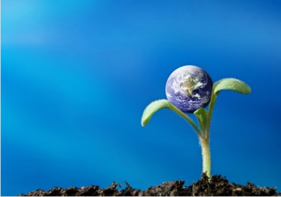 Advent Explorations: A New Heaven and a New Earth