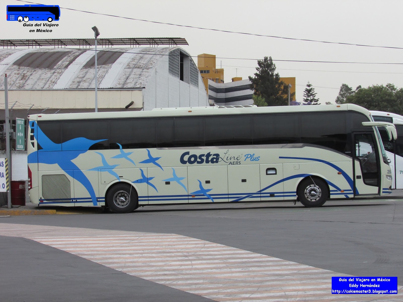 Costa Line, lo mejor para ir a Acapulco