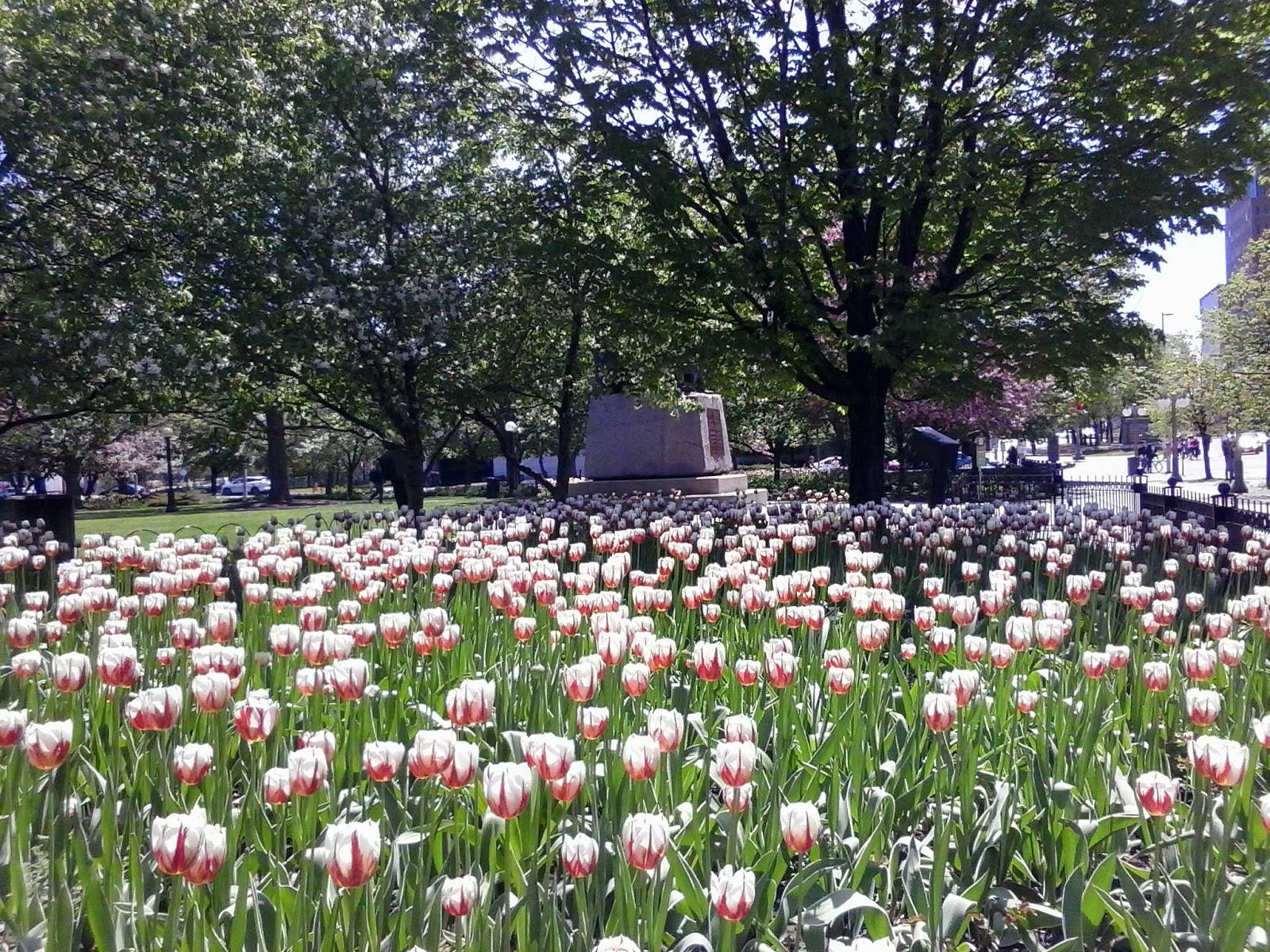 Ottawa Daily Photo: Colours Within Confederation Park