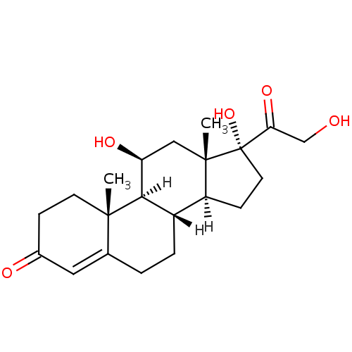 Pharmacology Of Hydrocortisone