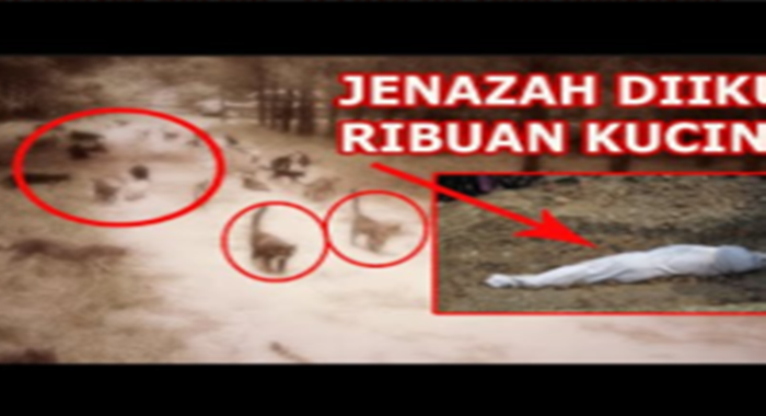 KISAH NYATA...KISAH YANG SANGAT LUAR BIASA ! ! JENAZAH INI DIIKUTI ... KISAH NYATA...KISAH YANG SANGAT LUAR BIASA ! ! JENAZAH INI DIIKUTI ...