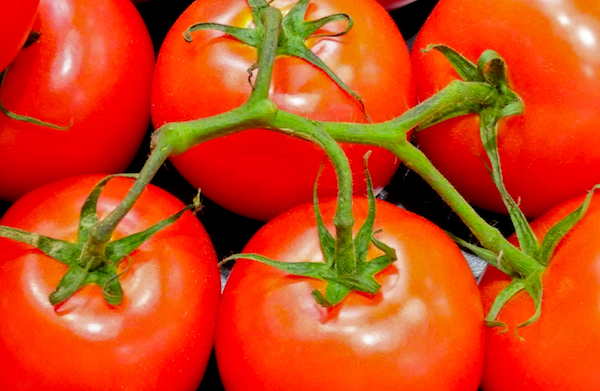 SpringLeaf Studios: Red Hot