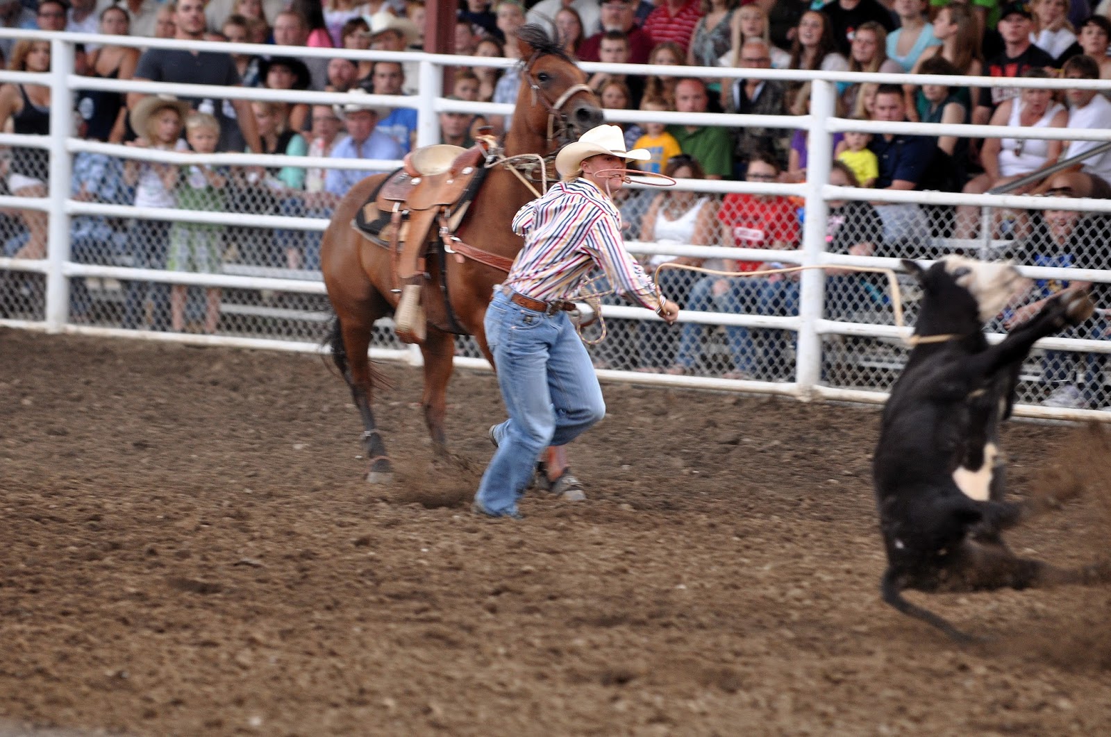 Mark Chitwood Photography: Sarpy County Rodeo