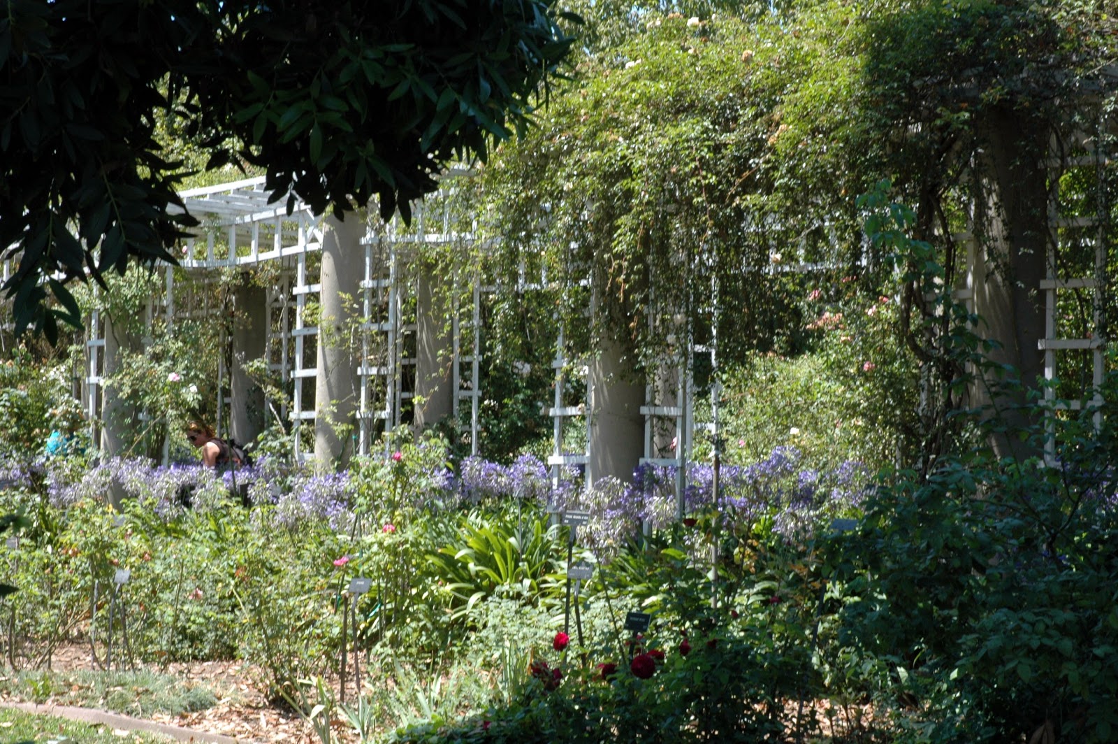 Love And Laughter On The Road Less Traveled: The Huntington Library