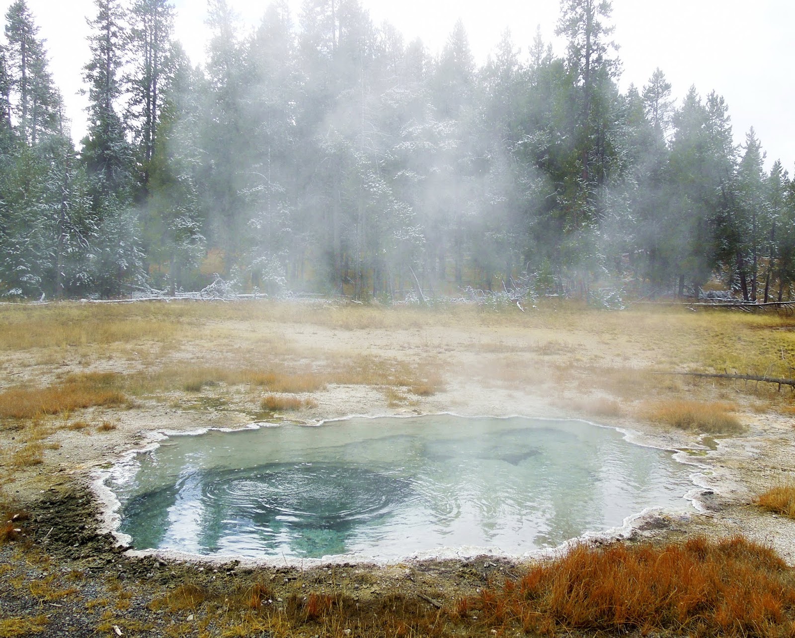 Focusing On Travel : Yellowstone: A Geyser Gazers Guide to the Upper ...