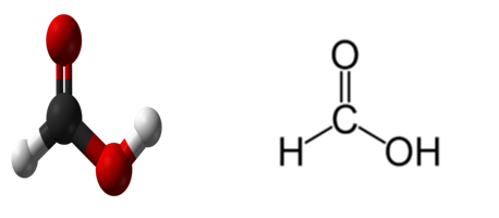PIBID e o Ensino de Química: Àcido fórmico ou metanóico