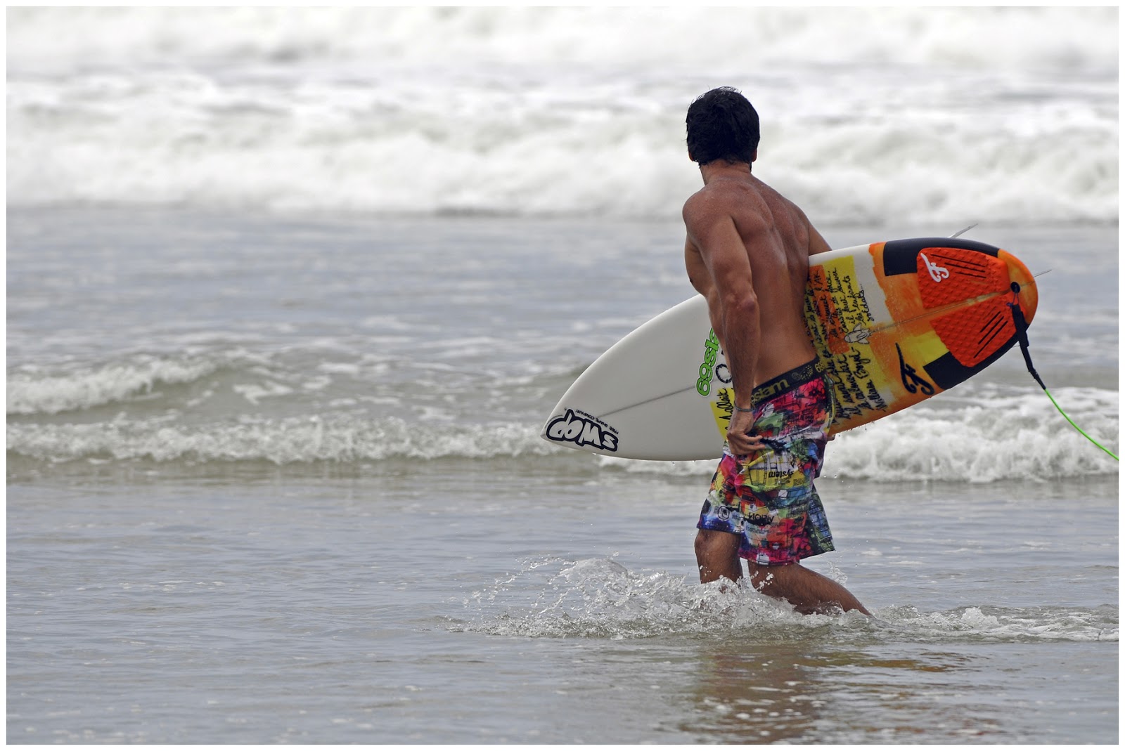 swop surfboards: ASSINIE MAFIA