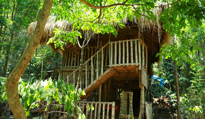 sannidhi coorg homestay - reach us @ drphoenixk@gmail.com: KALINDI ...