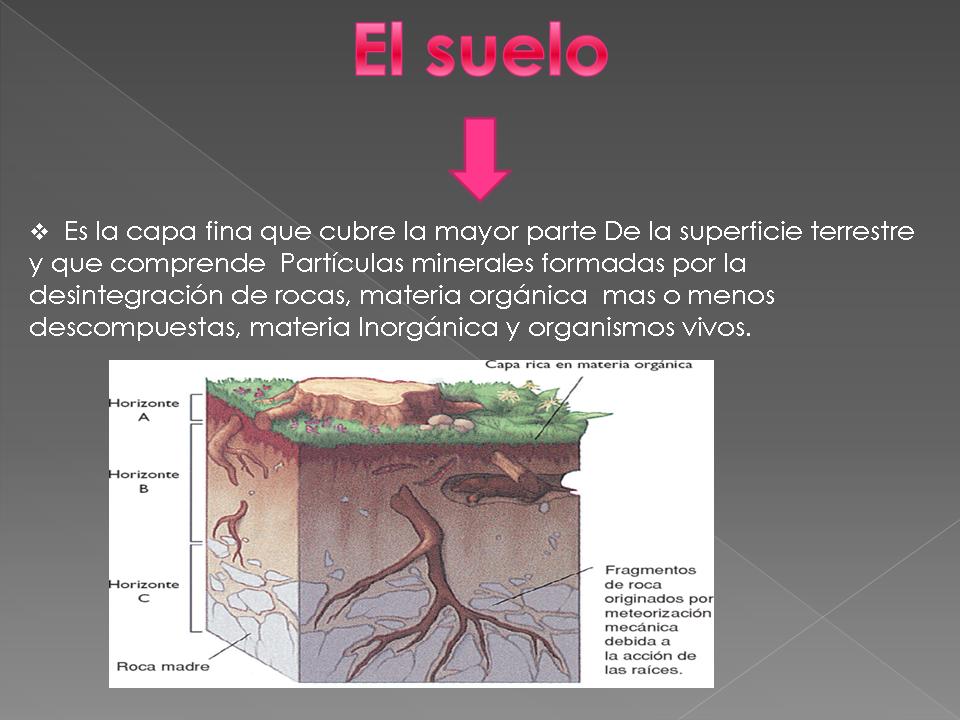 A Traves De Un Organizador Visual Explica La Composicion Del Suelo ...