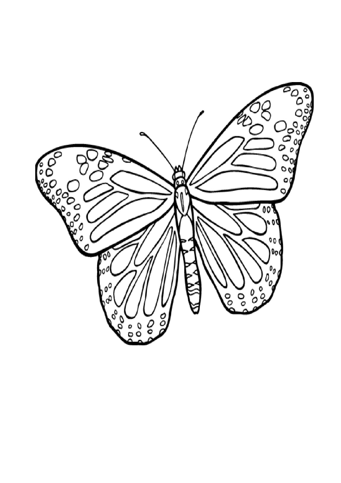 MODELE de FLUTURASI de colorat :: Fise de lucru - gradinita si scoala