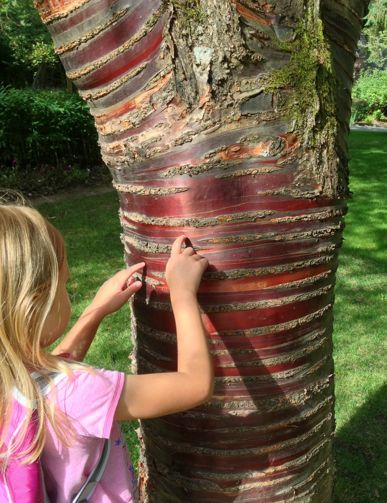 Was This Really a Sharp Idea?: Jenkins Estate & Fanno Farmhouse