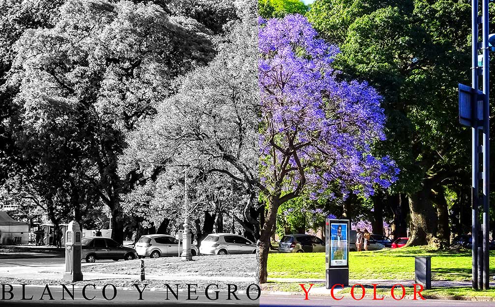 Fotografía Urbana. ORNAMENTO ARQUITECTONICO | BLANCO Y NEGRO