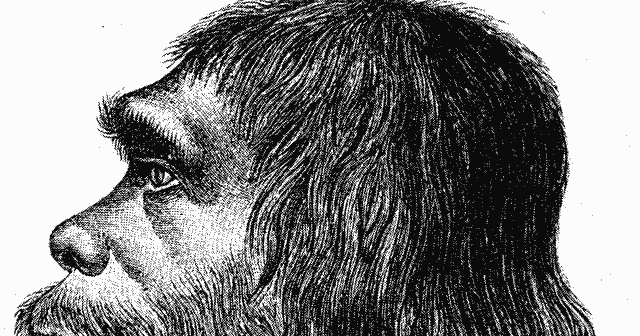 Improving It: A Neaderthal named Grongus and Build Versus Buy