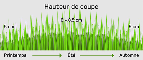 Comment tondre son gazon ou sa pelouse