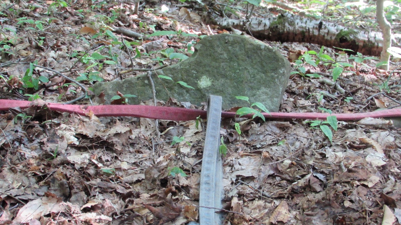 Mother Earth Prayers: Exploring for Sacred Sites--The Manitou Stone ...