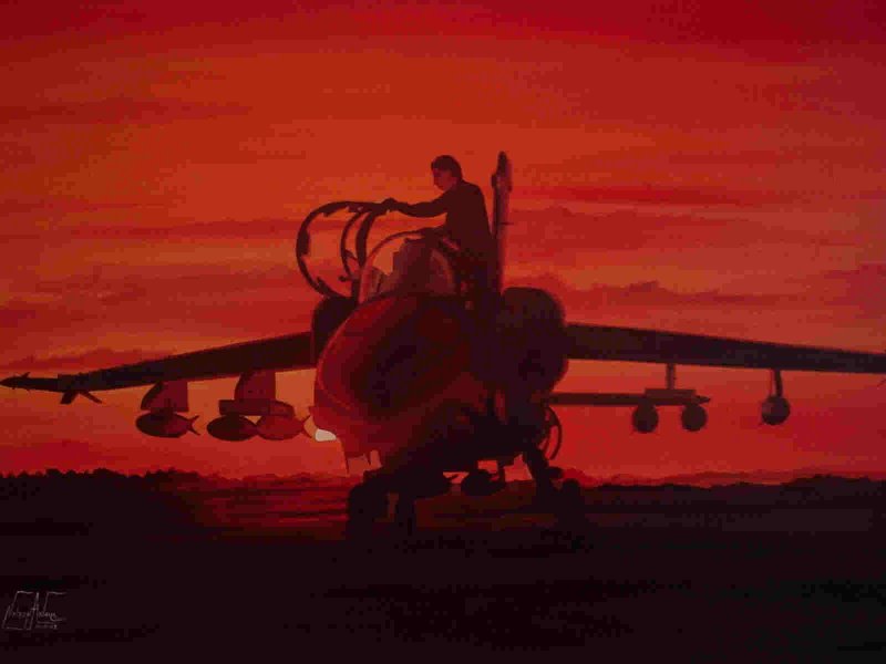 NELSON ANAYA - A ARTE AERONÁUTICA