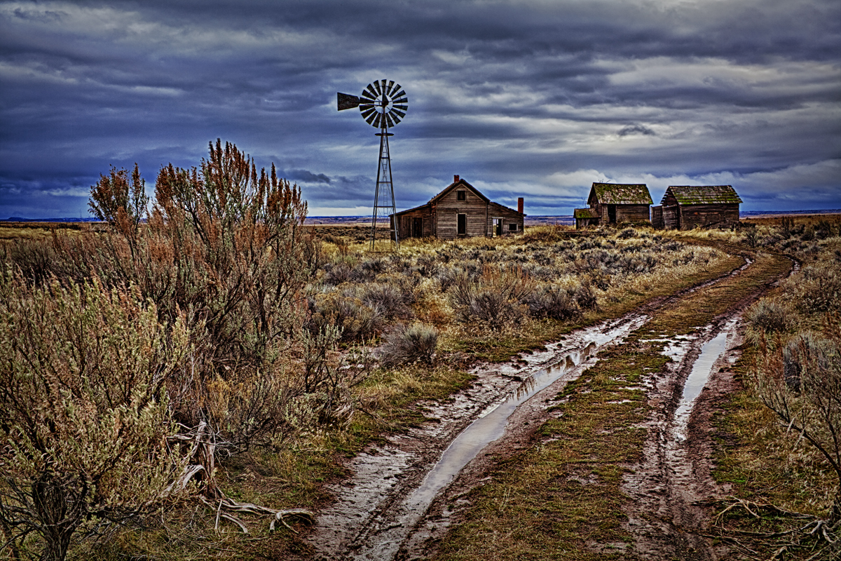 Rick Williams Photography: Old Farm and Windmill