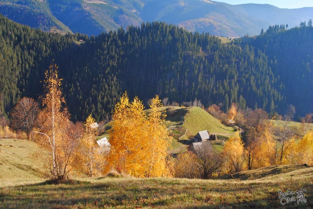 Muntii Gilau - Unde-s multi, muntele creste!