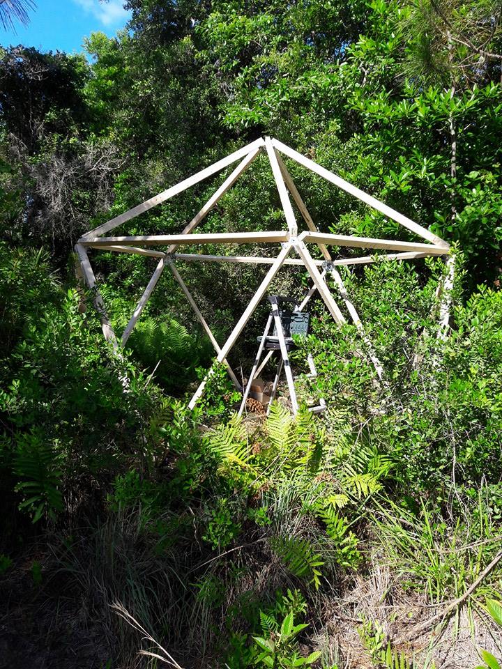 Bob's Tiny House Pipe Dream: Starplate Chicken Coop Shed