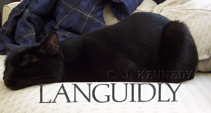 CJ & Ink: Reggimented Saturday