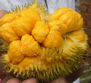 ஆயினி சக்கை- aaiyni chakkai in Kanyakumari District - Kumrimart Online ...