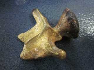 T. Dobson Designs: Spring2011. Casting. Cuttlebone Casting