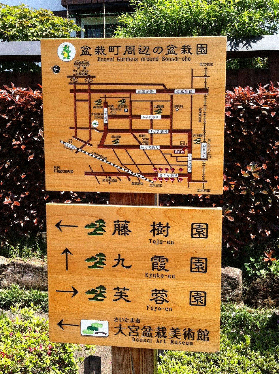 Joan and Bill's year in Tokyo: Omiya Bonsai Festival