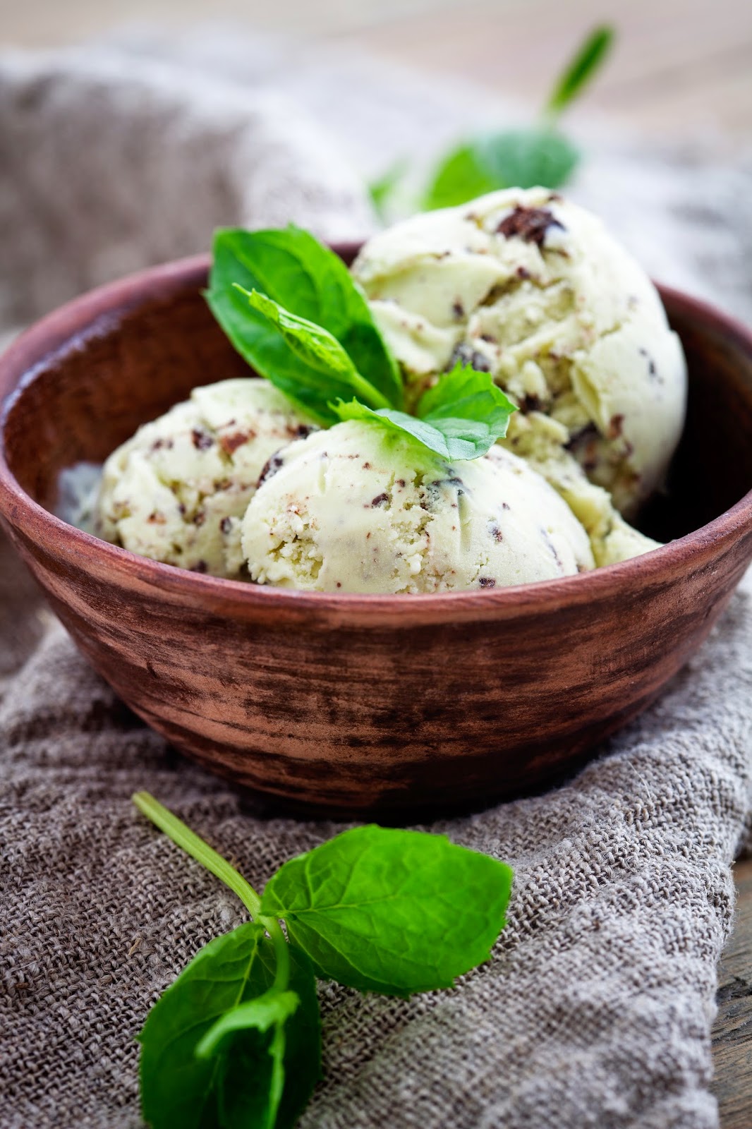 Raw Vegan Ice Cream: Mint Chocolate Chip | Raw Edibles