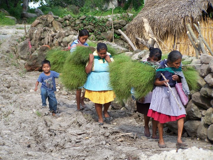 La Unidad Morelos Espacios Morelenses Cuentepec Morelos Bello