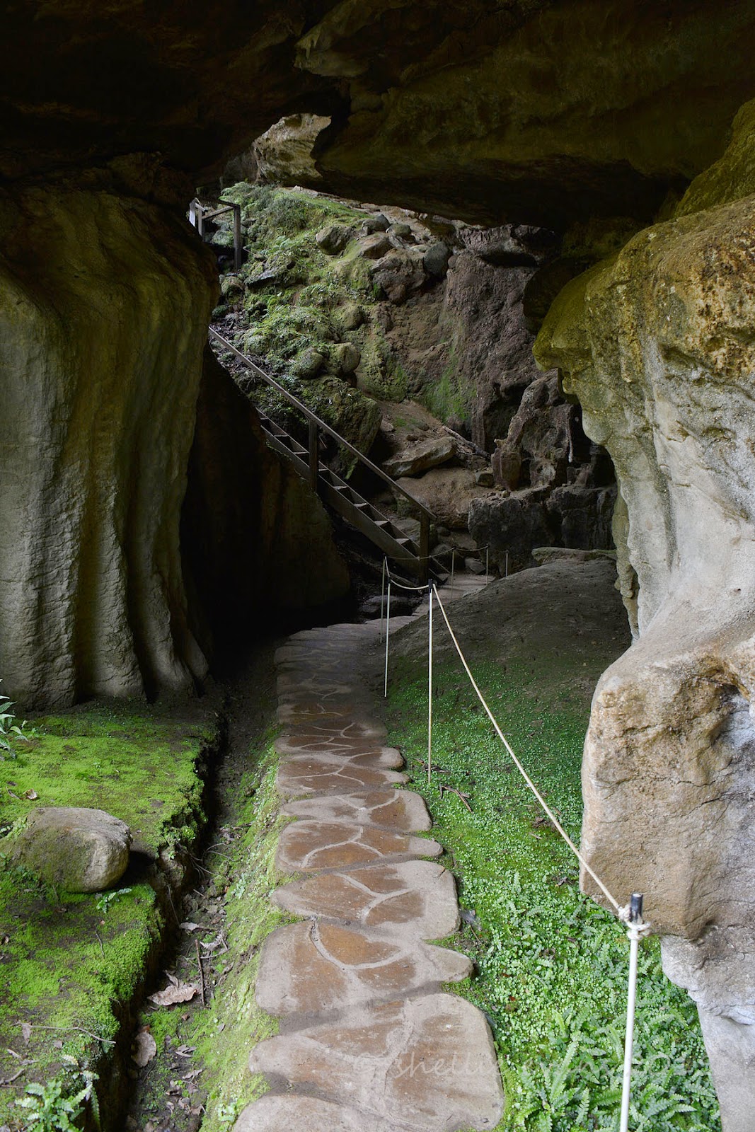 Two Go Tiki Touring: Crazy Paving & Box Canyon Caves- Oparara Basin