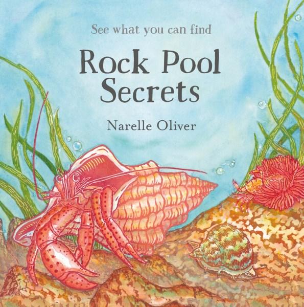 Kids' Book Review: Review: Rock Pool Secrets
